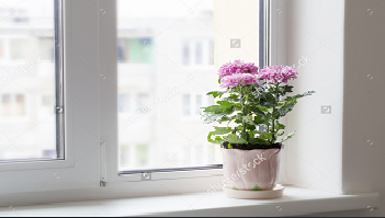 Купить подоконники Danke от производителя. Данке в СПб.